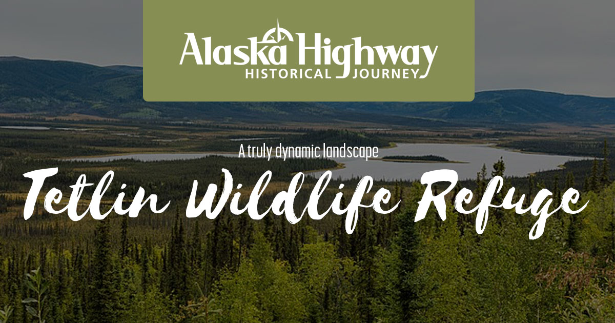 Tetlin Wildlife Refuge - Alaska Highway Historical Journey